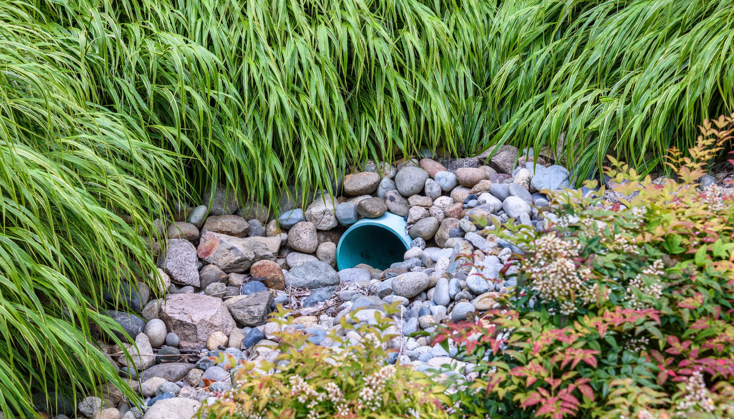 Green Stormwater Infrastructure Report and Webinar - Seattle Jobs ...
